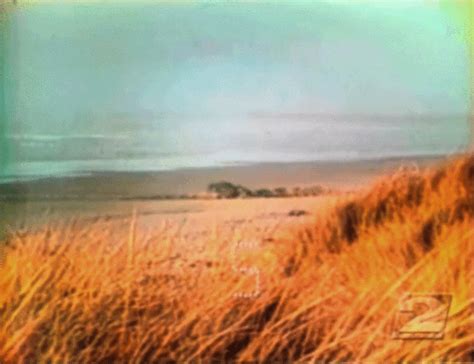 Exploding Sperm Whale  Exploding Sperm Whale