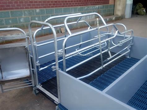 New Design Farrowing Crates Popular Pig Farm Solutions