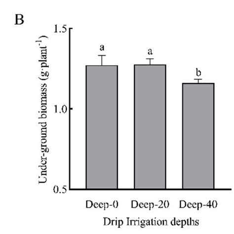Biomass Allocation Of Alfalfa Plants Under Three Drip Irrigation