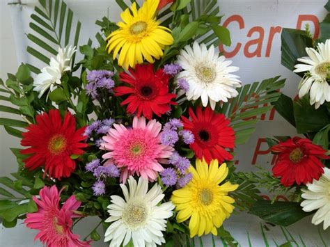 Gionee Elife E Review Gadgets