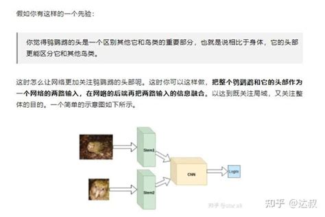如何给模型加入先验知识笔记 知乎