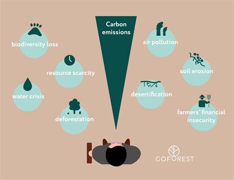 The Value Of Trees Beyond Carbon Sequestration Go Forest