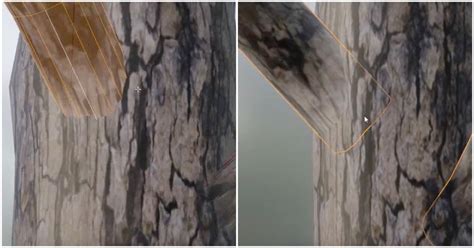 Geometry Nodes Setup For Blending Branches With Tree Trunk