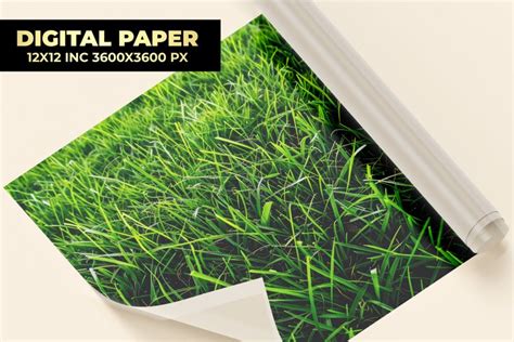 Green Grass Digital Paper 4588300