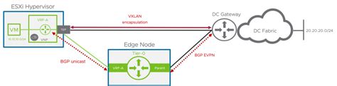 Bgp Evpn Between Nsx And Vyos Part 1