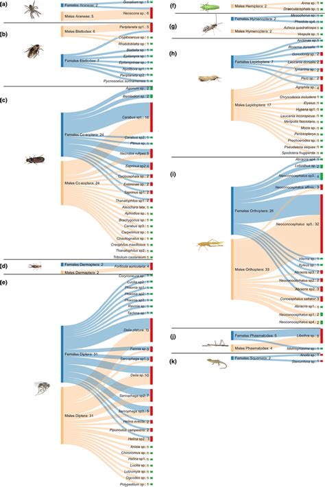 Intersex Bipartite Preyspider Species Interaction Network Lines Download Scientific Diagram