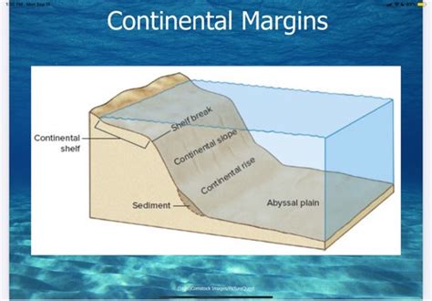 Marine Bio Units 1 And 2 Flashcards Quizlet