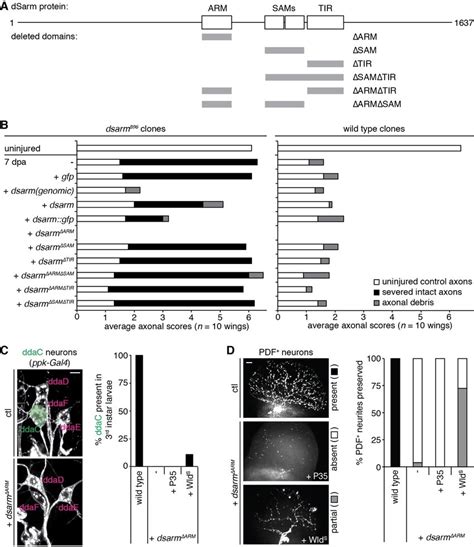 Figure S6 Related To Figure 3 Download Scientific Diagram