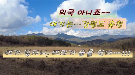 No186 내촌 우리 여기에 집을 지으면 집에만 있고 싶을거 같아요~~~ Youtube