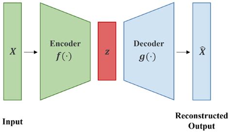 Multi View Masked Autoencoder For General Image Representation