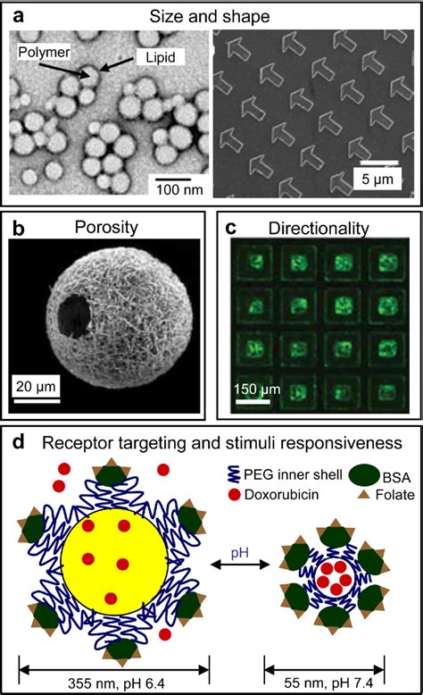 figure 2 from self folding polymeric containers for encapsulation and
