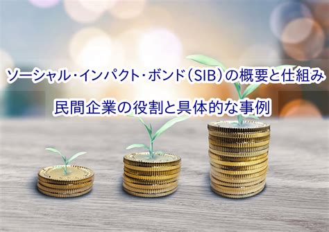 ソーシャル・インパクト・ボンド（sib）の概要と仕組み 経営改善ラボ