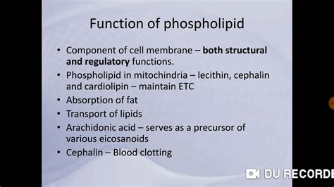 Functions Of Phospholipids By Dr Hk Sheraz Siddiqui Youtube