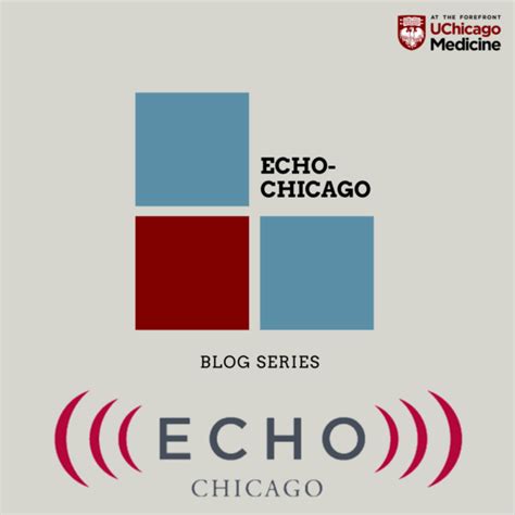 Echo Chicago Focus Group Report Echo Chicago