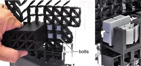 We Effectively Lock The Latch Mechanism By Stiffening The Shearing Area Download Scientific