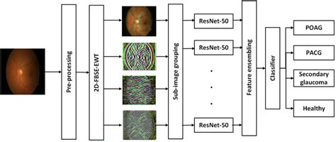 Proposed Framework For Automatic Diagnosis Of Different Types Of Glaucoma Download Scientific