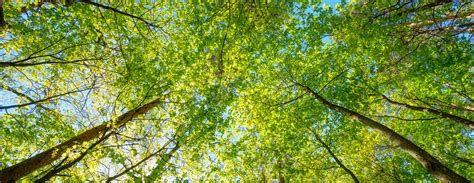 We Cannot Meet Net Zero Targets Without A Digital First Approach North