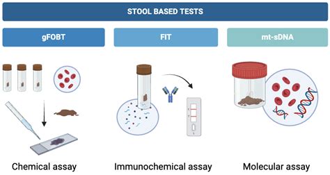 Utility Of Stool Based Tests For Colorectal Cancer Detection A Comprehensive Review
