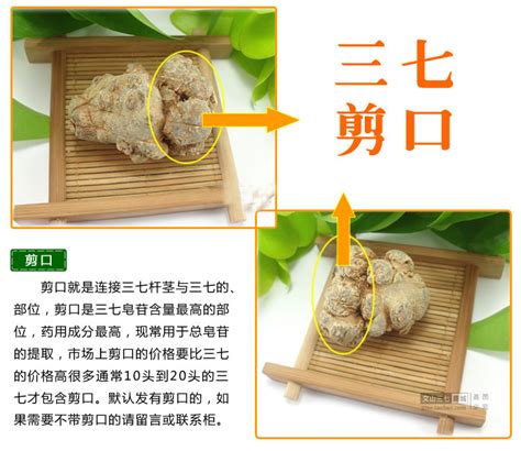 三七剪口图册 360百科