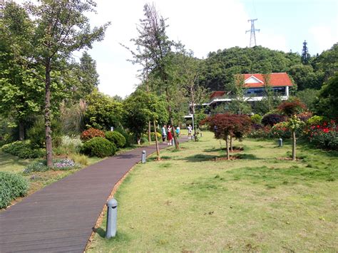 [review] Alldocube X1 Android Tablet Forum