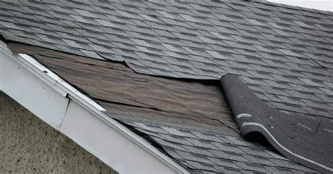 Why Your New Roof Shingles Are Not Laying Flat And What To Do Eustis Roofing