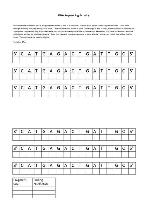 dna sequencing activity pdf dna sequencing sequencing