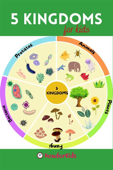 Classification Of Living Organisms Homeschool Science Life Science Science