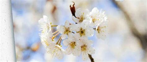 谷雨 且惜春光且种希望 春色 节气 那明亮