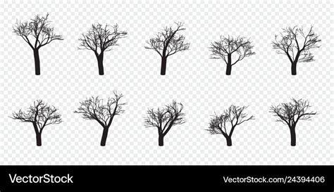 Naked Tree Silhouettes Minimalist Set Royalty Free Vector