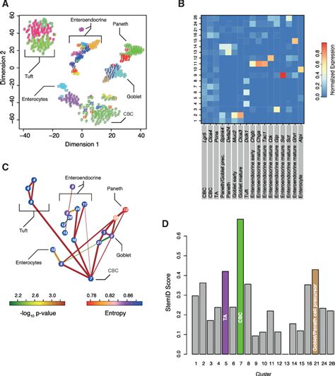 Figure 3 From De Novo Prediction Of Stem Cell Identity Using Single Cell Transcriptome Data