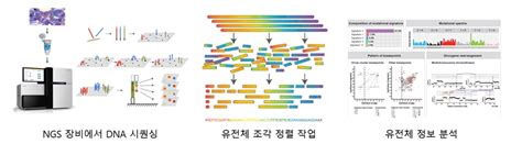 최초의 인공지능 머신러닝 기반 유전체 정렬 플랫폼 오픈소스로 공개kaist 한동수 교수팀 인덱싱 기법보다 34배 빠른
