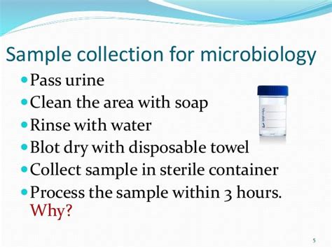 Semen Analysis Powerpoint