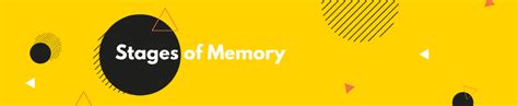 Memory And Its Stages InPsyghts