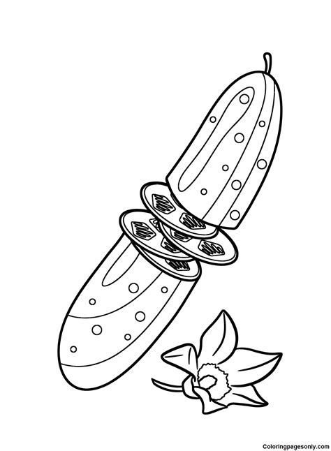 Chopped Cucumber Coloring Page Free Printable Coloring Pages