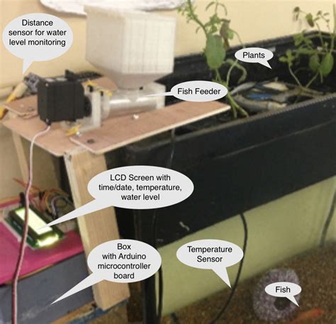 Aquaponics Automation R Mishael Sedas