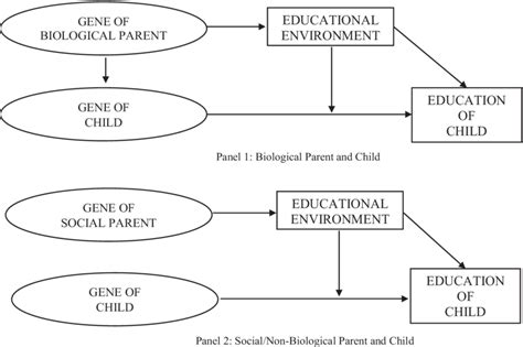 Gene Environment Interaction And Passive Gene Environment Correlation Download Scientific Diagram