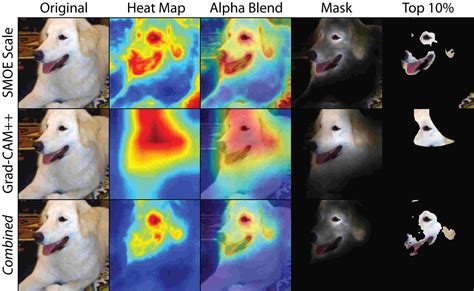 Efficient Saliency Maps For Explainable Ai Deepai