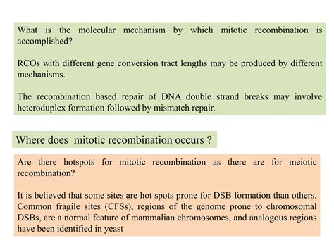 Mitotic Recombinationobbh Hjijvuhbhuuigg Ppt
