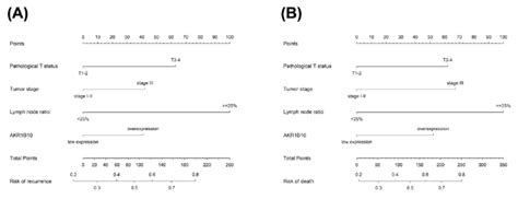 Nomogram Predicting The Risk Of Recurrence A And Death B For Each Download Scientific