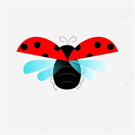 Ladybug Fly Object Isolated Art Design Stock Vector Illustration Fly Black Print Png And