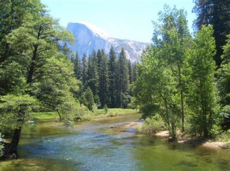 Enqis Blogi იოსემიტის ეროვნული პარკი