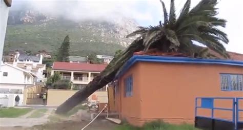 These Tree Cutting Fails Ruined Someone S Day Wide Open Spaces