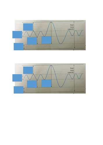 Aqa Gcse Pe 2016 New Spec 1 3 The Respiratory System Teaching