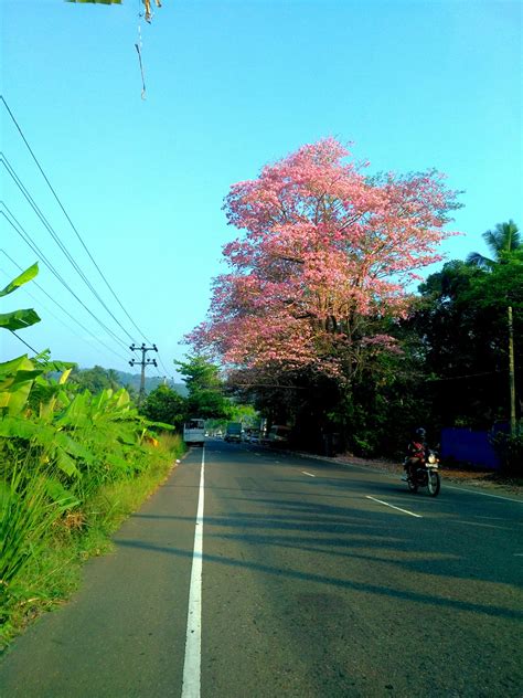 පනහෙ කණුව 50 Kanuwa Home Facebook