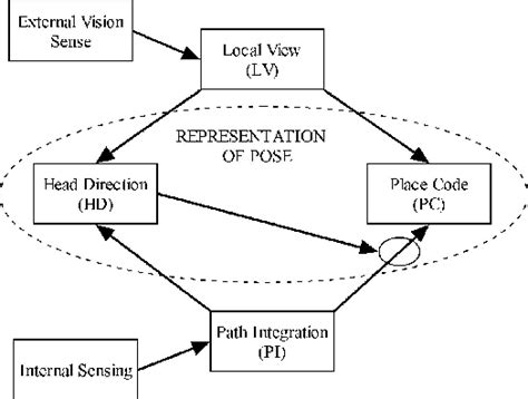 Figure 1 From Hippocampal Models For Simultaneous Localisation And