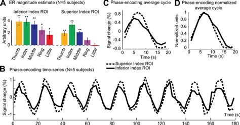ER And Phase Encoding Responses In Inferior And Superior Download Scientific Diagram