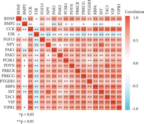 Gene Expression Differential Analysis And Potential Functional