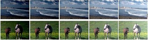 5 Sample Images From A Corel Uniform And B Corel Non Uniform Dataset Download Scientific