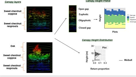 Lidar Metrics Based On The Canopy Structure Download Scientific Diagram