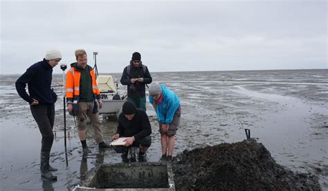 Ankerherz Kolumne Rungholt Oder Die Wahre Watt Legende Mopo